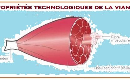 Les produits carnés - Génie Alimentaire